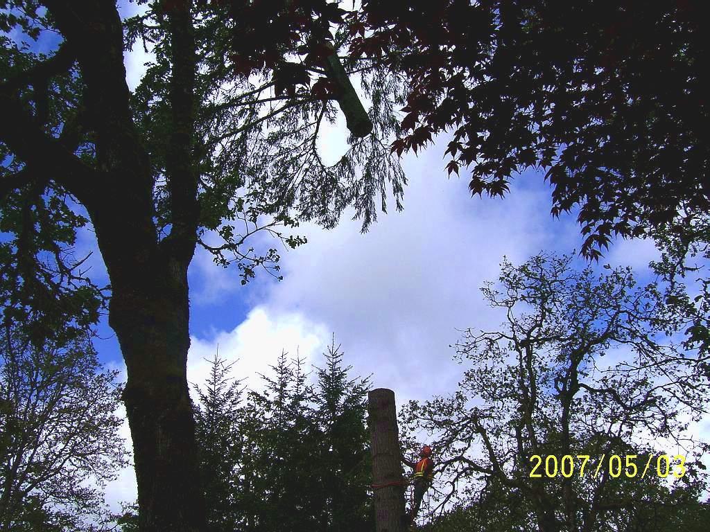 Map and Directions to All Aspects Tree Service LLC in Lebanon, OR 97355