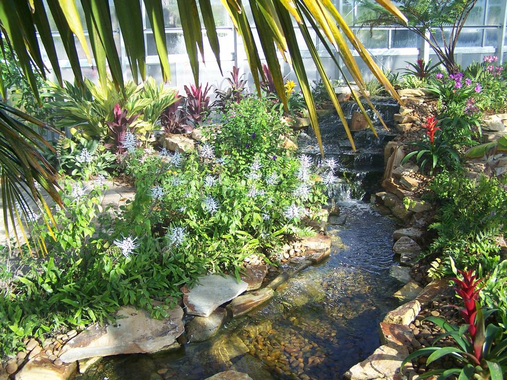 Pictures for The Butterfly Estates in Fort Myers, FL 33901