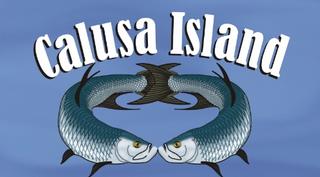 Map and Directions to Calusa Island Marina & Yacht Club in Goodland, FL ...