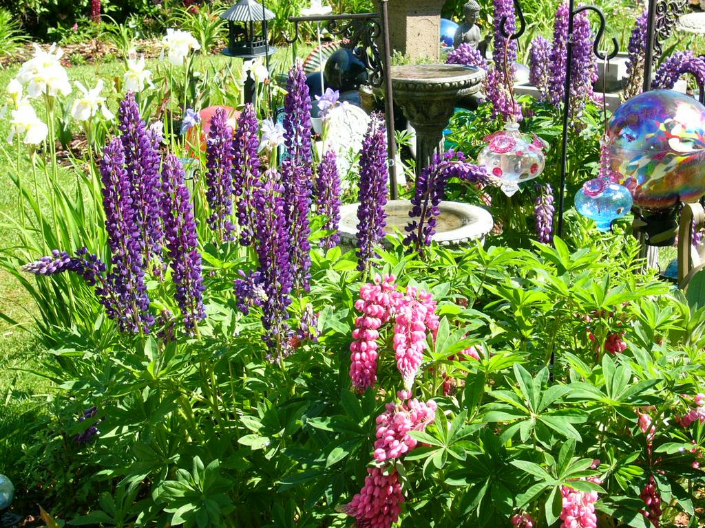 Pictures for Nitas Garden Gate in Baileys Harbor, WI 54202