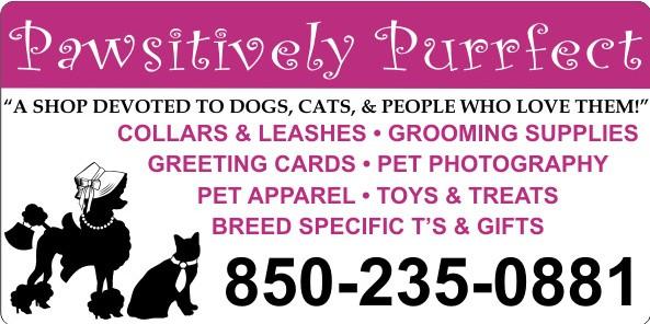 Map and Directions to Pawsitively Purrfect in Panama City Beach, FL 32413