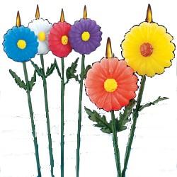 Long Stem Rose Candles - Long Stem Daisy Candles | Candle Boutique ...