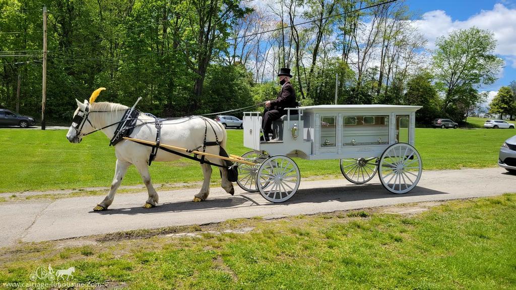 Carriage Limousine Service - Horse Drawn Carriages - Wellsville OH ...