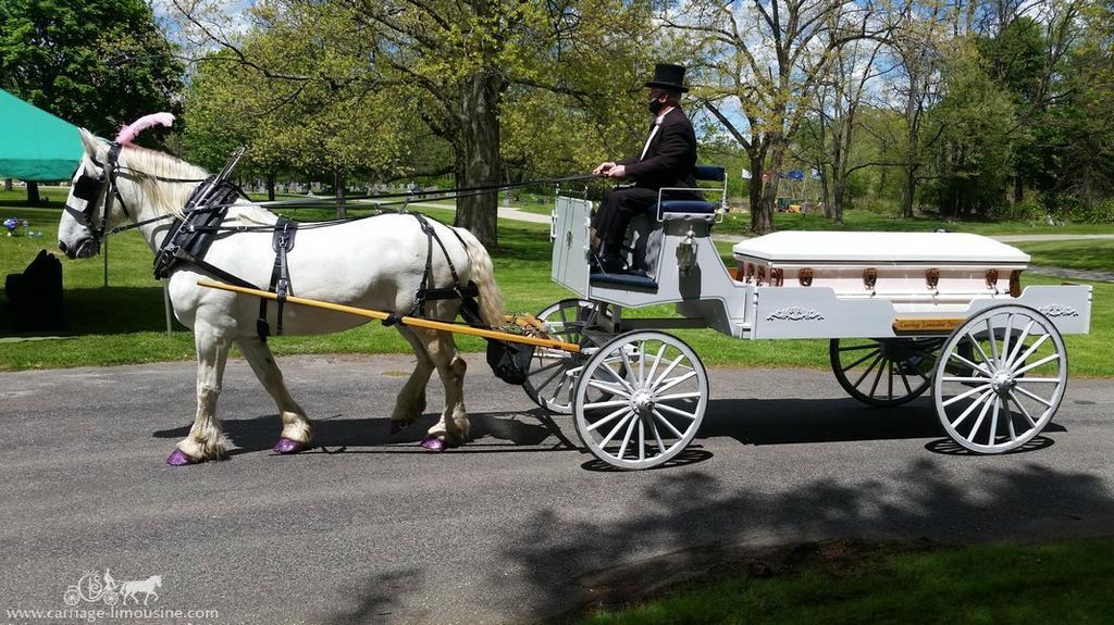 Carriage Limousine Service - Horse Drawn Carriages - Wellsville OH ...