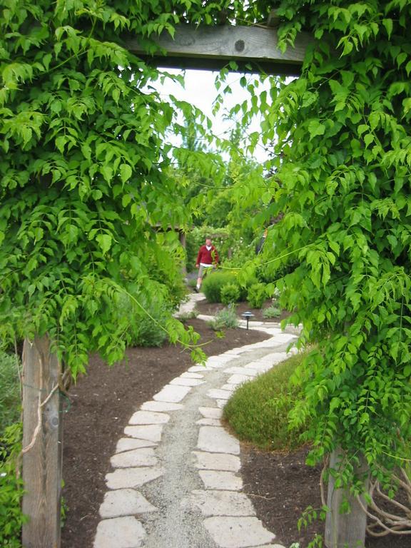 Pictures for The Garden Angels Landscape Design & Consulting in Salem ...