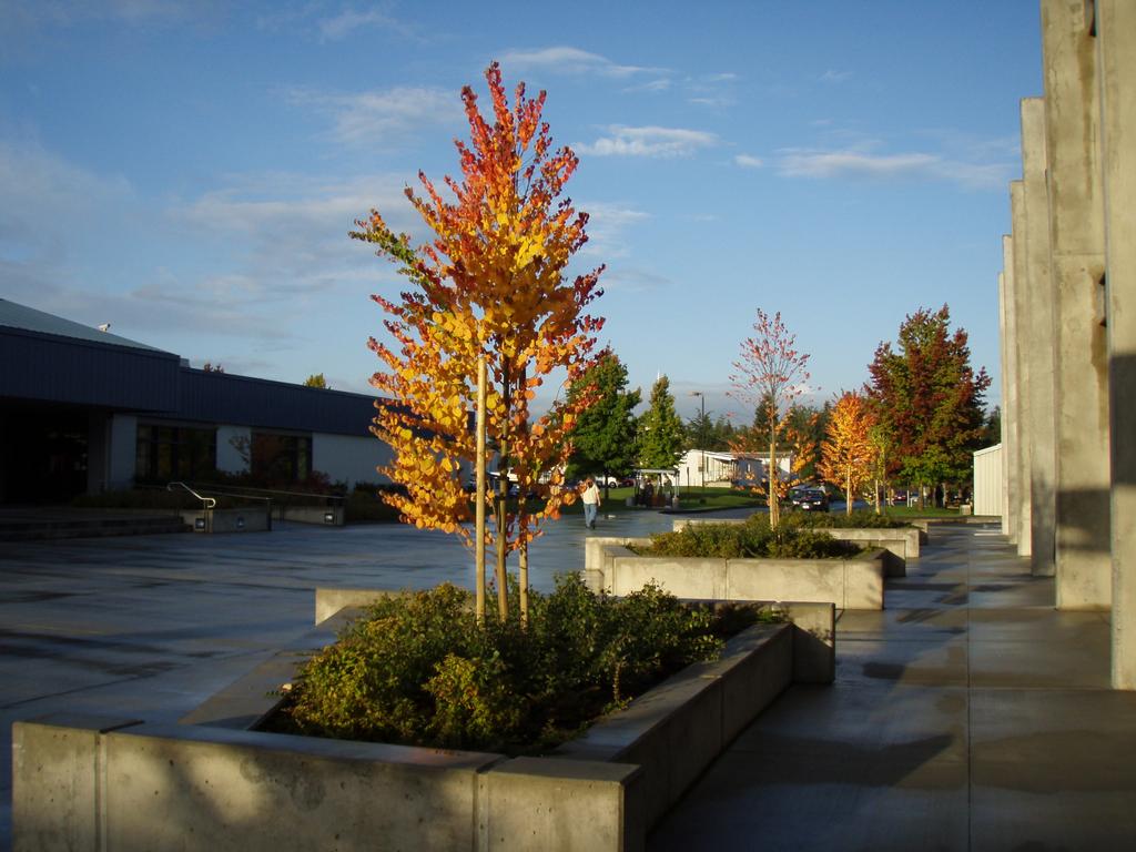 Map and Directions to Bates Technical College in Tacoma, WA 98401