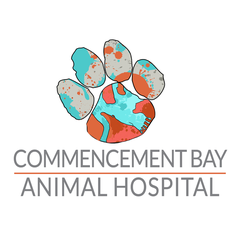 Pictures for Commencement Bay Animal Hospital in Tacoma, WA 98406