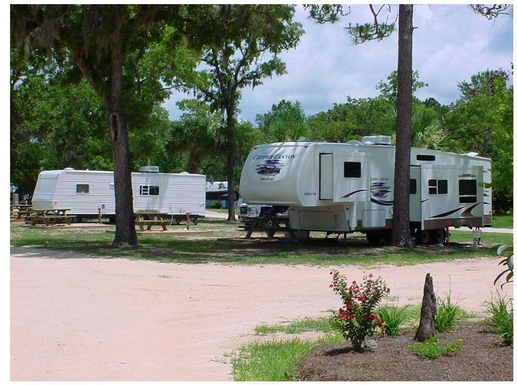 Pictures for Redfish RV Park in Steinhatchee, FL 32359