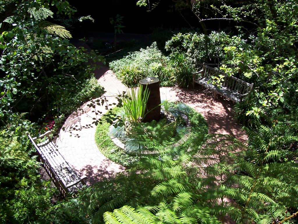 Atrium Garden from Jane A. Scarbrough, CFP in Santa Rosa, CA 95403