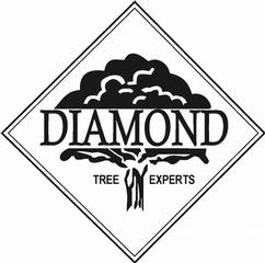 Map and Directions to Diamond Tree Experts, Inc. in Salt Lake City, UT ...