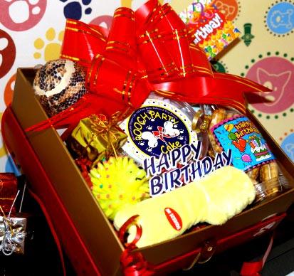 Pampered Paw Gifts - Zephyrhills FL 33541 | 800-748-5293