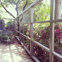 Modern Wood/Plexiglass Fence and Gate | Harwell Fencing & Gates Inc ...