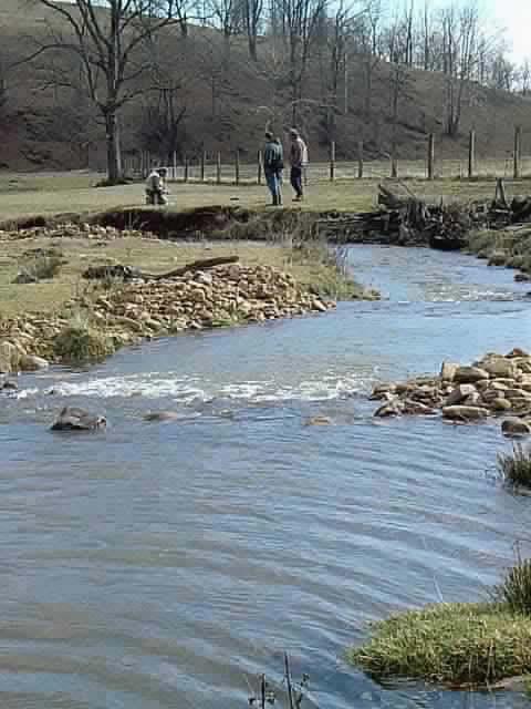 Blue Springs Trout Fishing - Rural Retreat VA 24368 | 276-621-4238