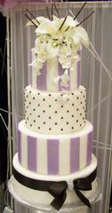 Map and Directions to Cameo Cakes in Springfield, MO 65806