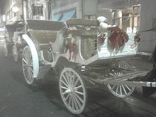 What a grand entrance to your prom - horse and carriage | Carriage ...