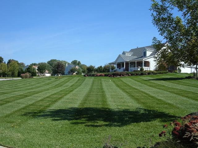 Serving Carroll County, Maryland for 10+ years... | Lawn-Scapes of ...