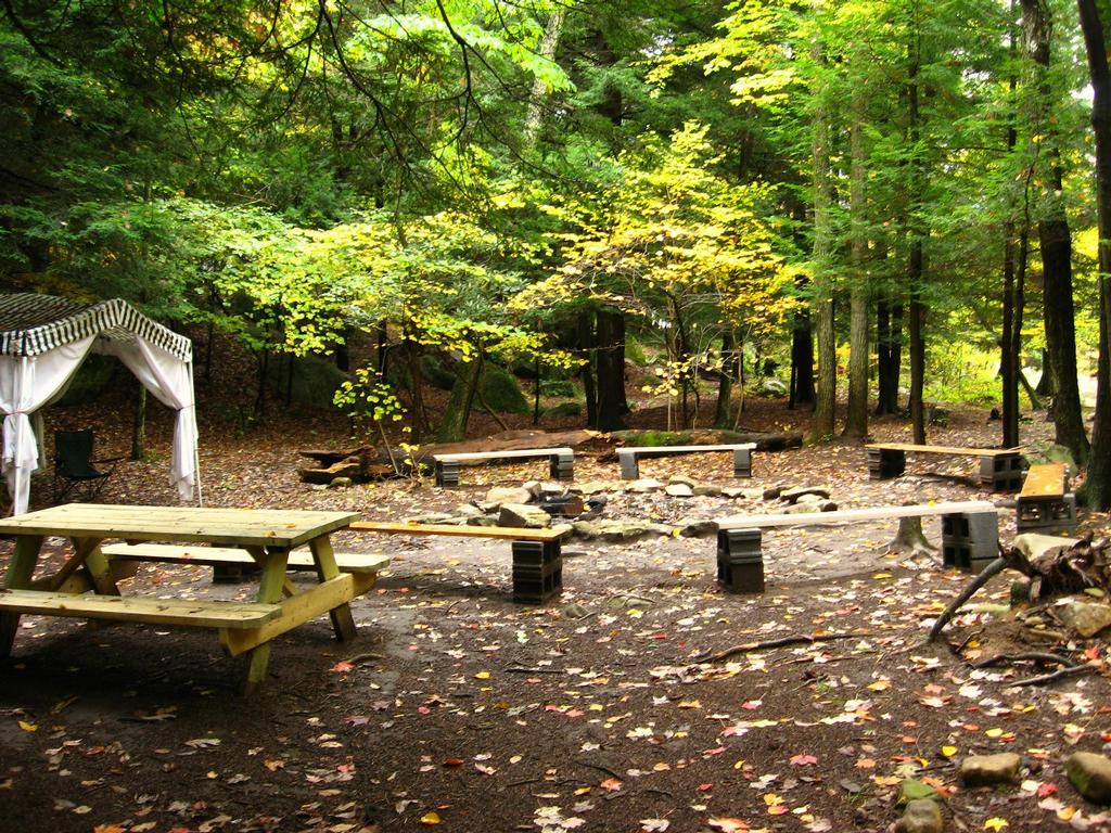 Campfire Area from Abrams Creek Lodge & Campground in Mount Storm, WV 26739