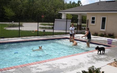 Map and Directions to Happy Dog Inn in Green Cove Springs, FL 32043