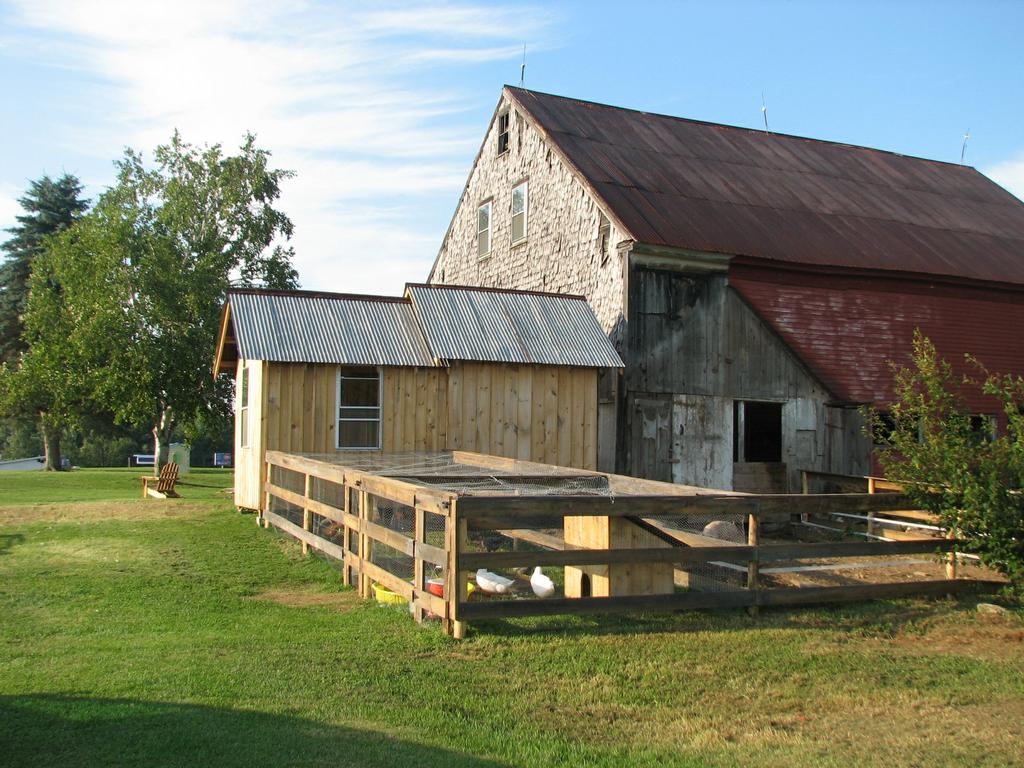 IMG_6800 from Pine Bluffs Farm in Mount Vernon, ME 04352