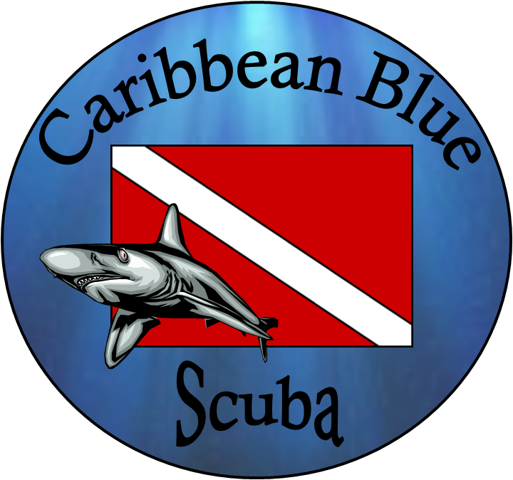 Map and Directions to Caribbean Blue Scuba Diving, LLC in Janesville ...