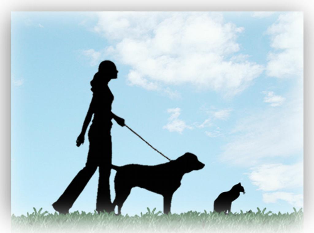 Map and Directions to Walkabout Pet Sitting in Dublin, GA 31021