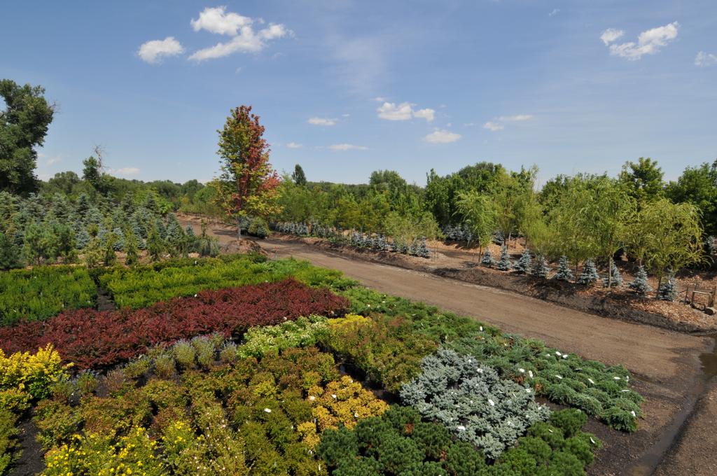 Map and Directions to CreekSide Tree Nursery in Boulder, CO 80301