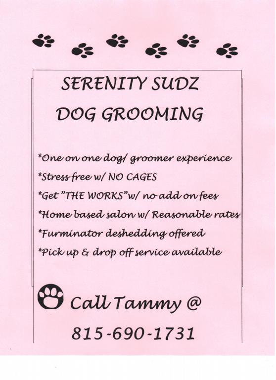 Flyer ad 001 from Serenity Sudz Dog Grooming in Mchenry, IL 60050
