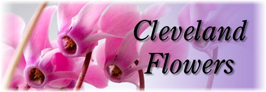 Cleveland Flowers - Cleveland OH 44113 | 216-456-0207 | Flowers