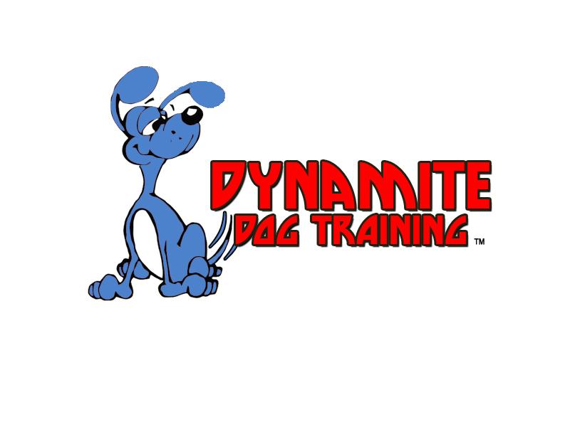 Map and Directions to Dynamite Dog Training in Fort Lauderdale, FL 33312