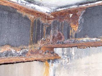 Pictures for Building Envelope Consultants and Scientists, LLC in Mount ...
