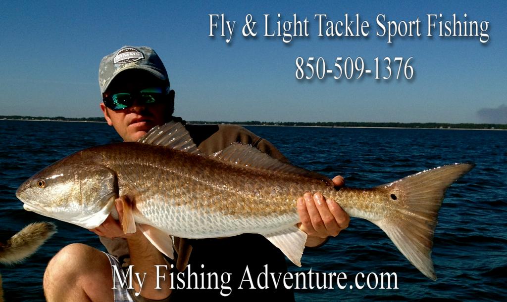 My Fishing Adventures Charters - Carrabelle FL 32322 | 850-509-1376