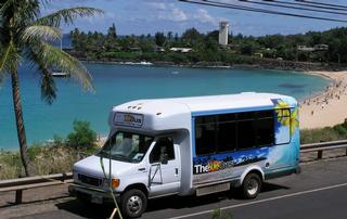 Stand up Paddle in Haleiwa from The Surf Bus - North Shore Activities ...