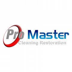 Pro Master Cleaning Restoration - Kissimmee FL 34744 | 407-933-0808