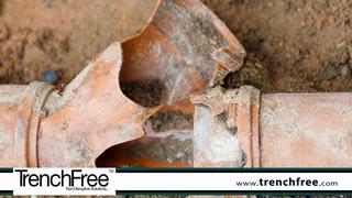 The Top Causes of Sewer Line Failure and When to Replace | TrenchFree ...