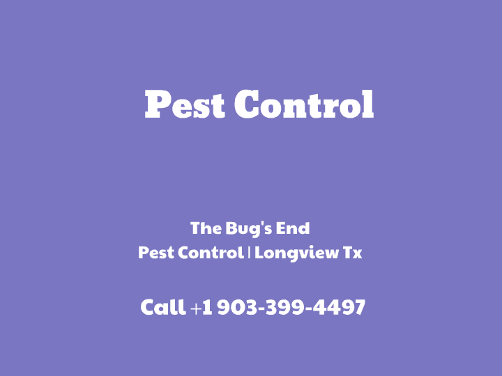 Pictures for The Bug's End Pest Control in Longview, TX 75603
