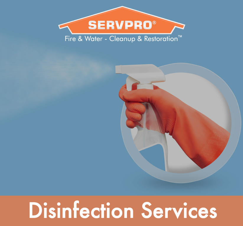 SERVPRO of Fort Collins - Fort Collins CO 80524 | 970-493-6335