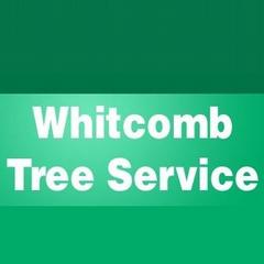 Whitcomb Tree Service - Peabody MA 01960 | 978-836-1013