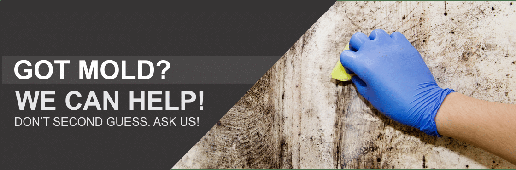 Map and Directions to Catstrong Mold Removal Austin | Mold Remediation ...