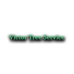 Pictures for Victor Tree Service in Palo Alto, CA 94303 | Tree Service