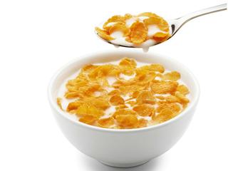 Corn Flakes Manufacturing Plant Project Report 2022-2027 | Syndicated ...
