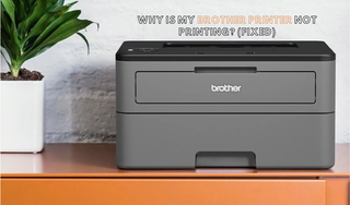 Why Is My Brother Printer Not Printing? (FIXED) | Brother Printer Setup ...
