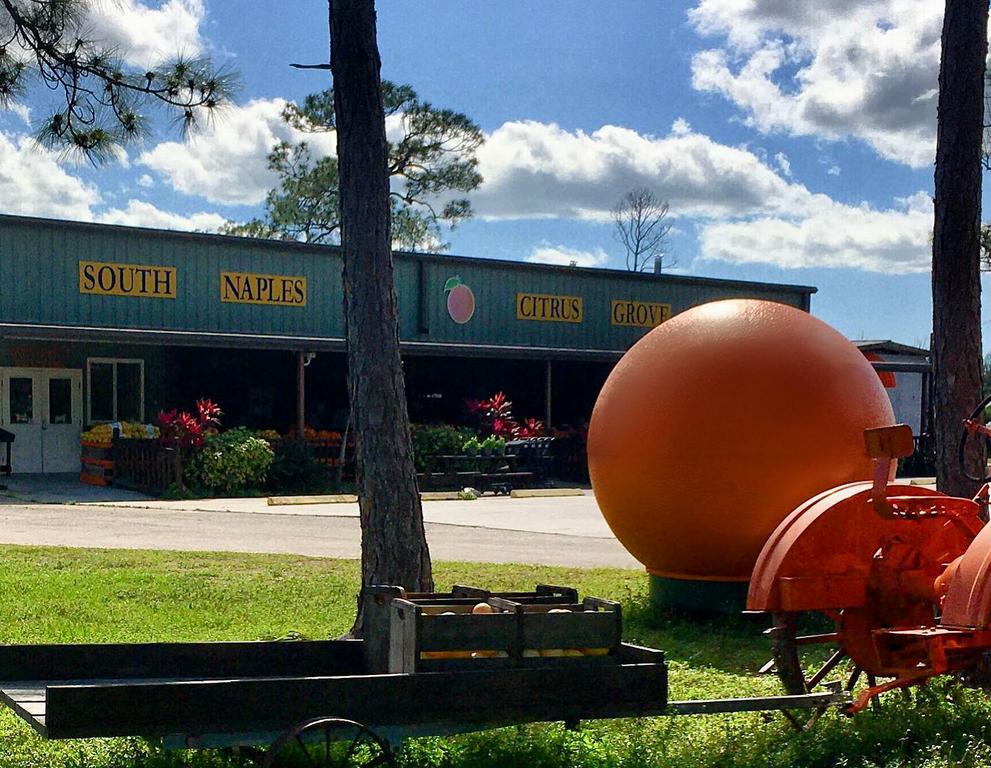 Map and Directions to South Naples Citrus Grove in Naples, FL 34114