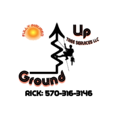 Tree Pruning | Ground Up Tree Services in Bloomsburg, PA 17815
