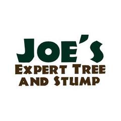 Landscaping Services | Joe's Expert Tree and Stump in Pinellas Park, FL ...