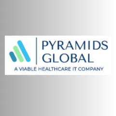 Revenue Cycle Management Healthcare 2024 | Pyramids Global in Austin ...