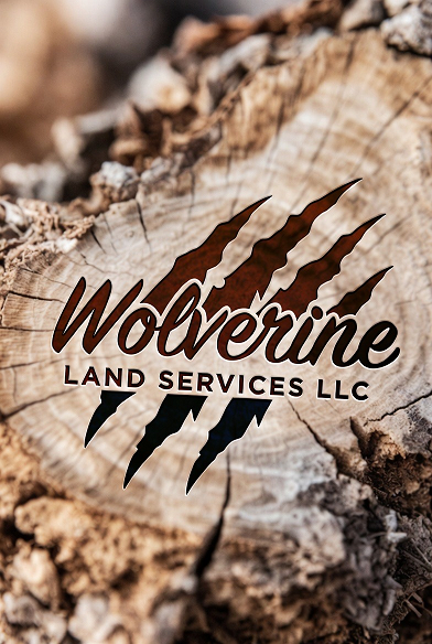 Map and Directions to Wolverine Land Services LLC in San Antonio, TX 78258