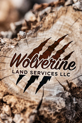 Map and Directions to Wolverine Land Services LLC in San Antonio, TX 78258