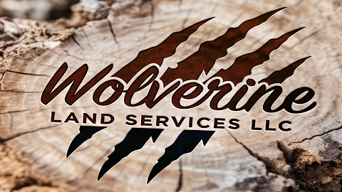 Map and Directions to Wolverine Land Services LLC in San Antonio, TX 78258