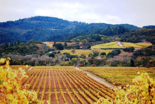 Map and Directions to Law Offices of Tina Wallis in Santa Rosa, CA 95403