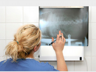 Map and Directions to Flushing Veterinary Hospital in Flushing, NY 11354